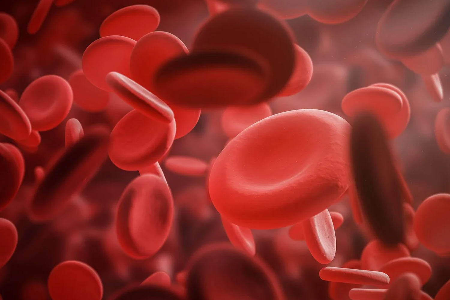 Bleeding disorder – The Cell